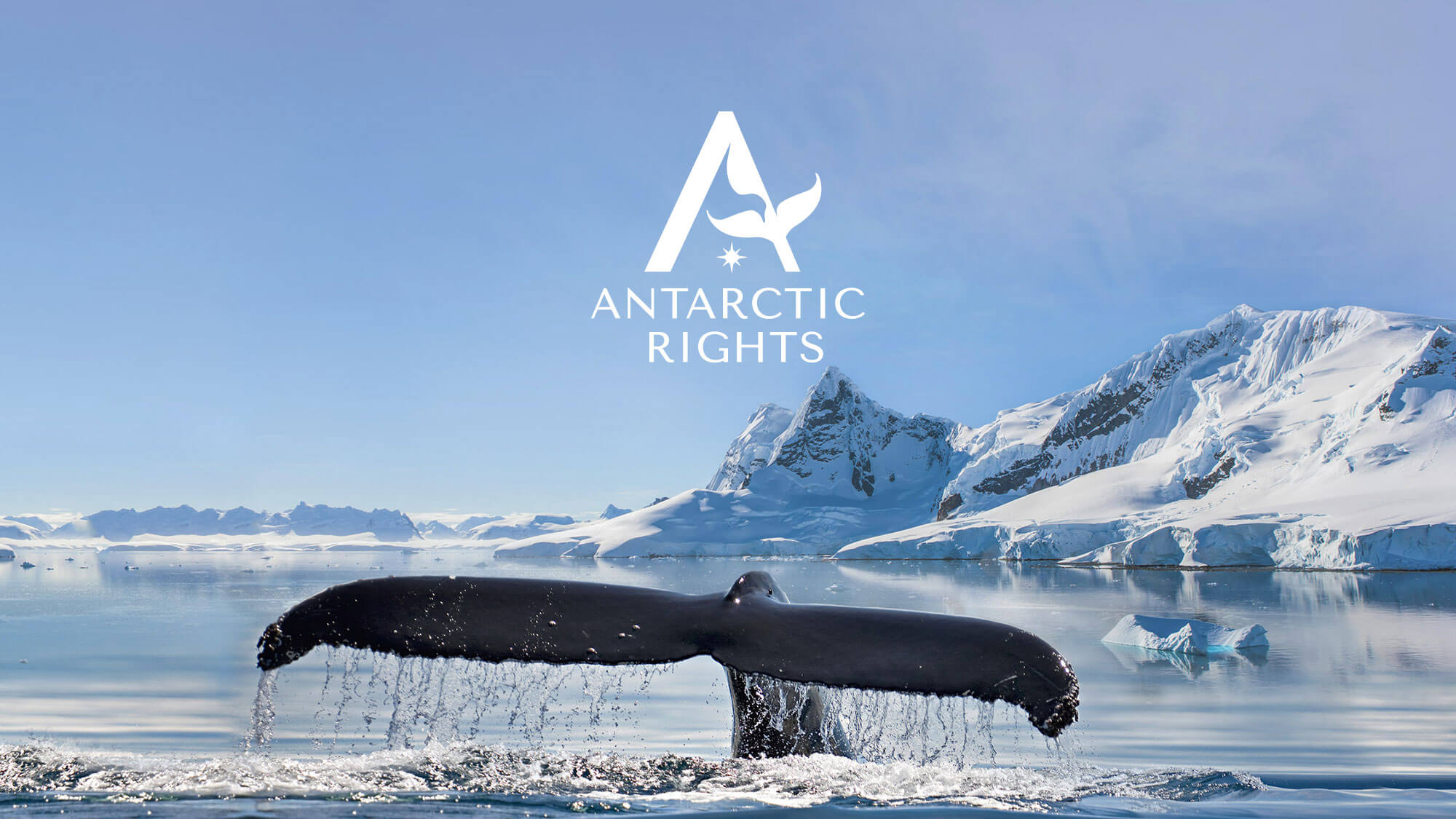 IUCN Motion 055: Recognition of the Rights of Antarctica – Antarctic Rights